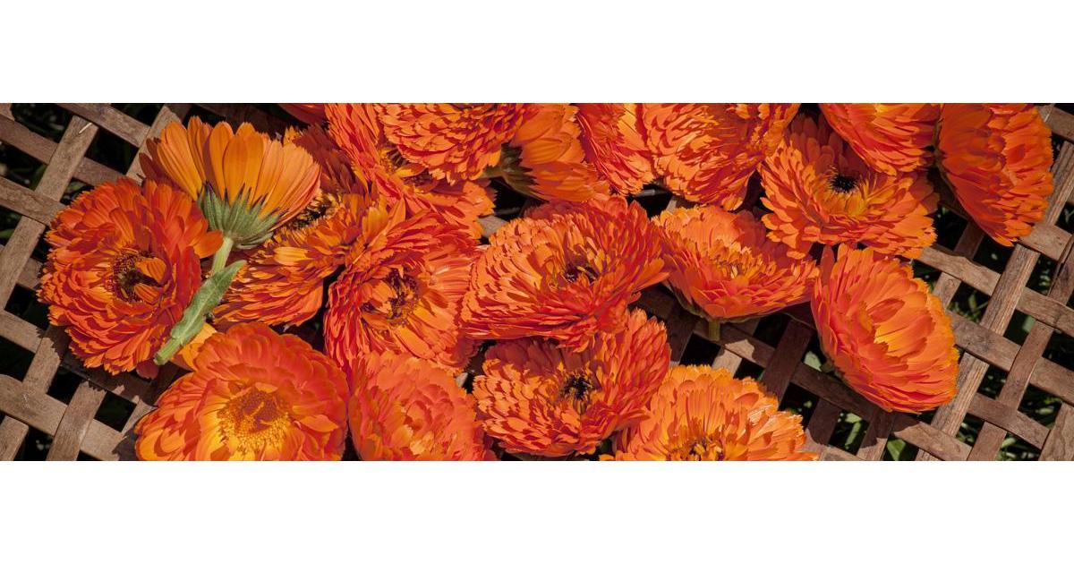 Hersteller mit Qualitätszeichen Südtirol im Überblick - Oberdörfer ...